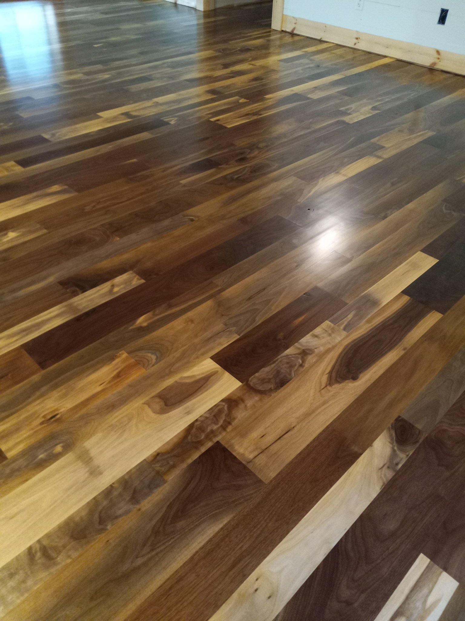 RUSTIC SAP WALNUT | Green River Lumber